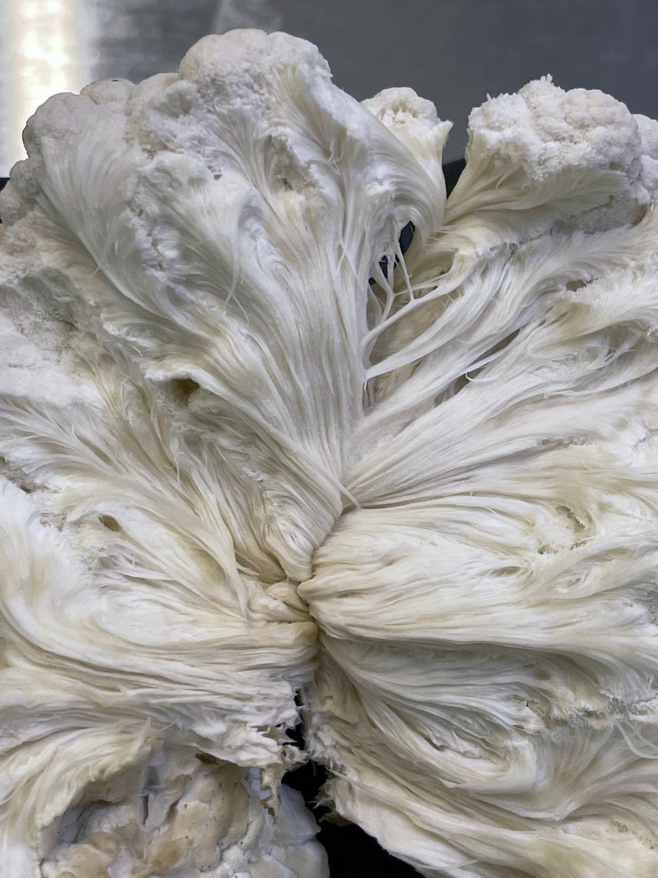 mushroom powder for smoothies