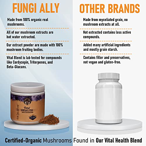mushroom powder for smoothies