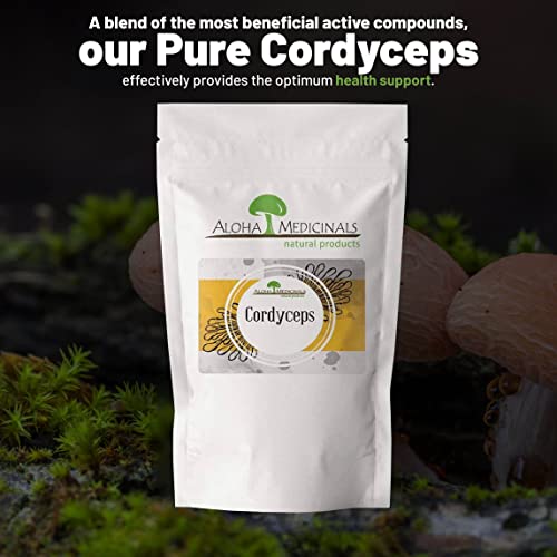 mushroom powder for vitality enhancement