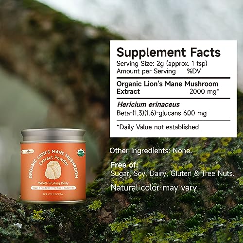 Mushroom powder for wellness boost