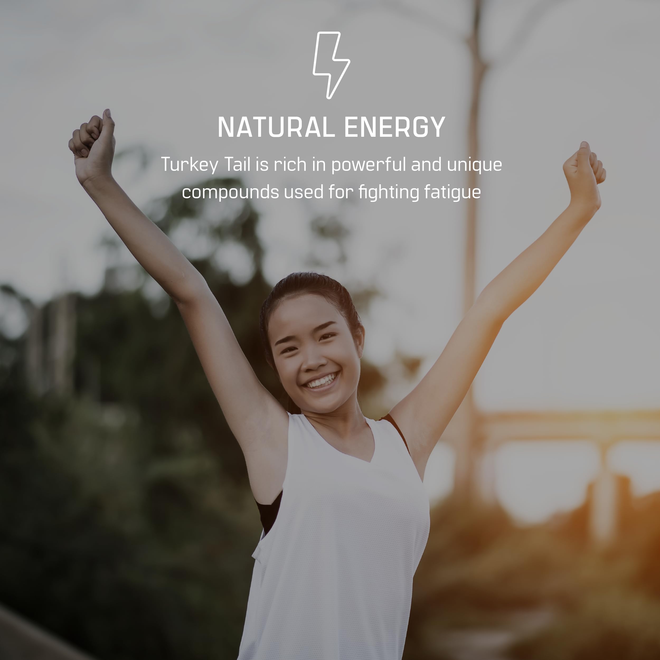 mushroom powder for wellness