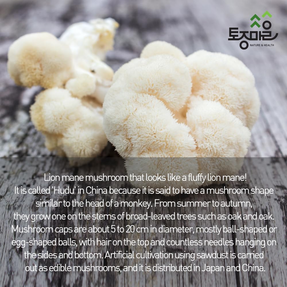 Mushroom powder for wellness
