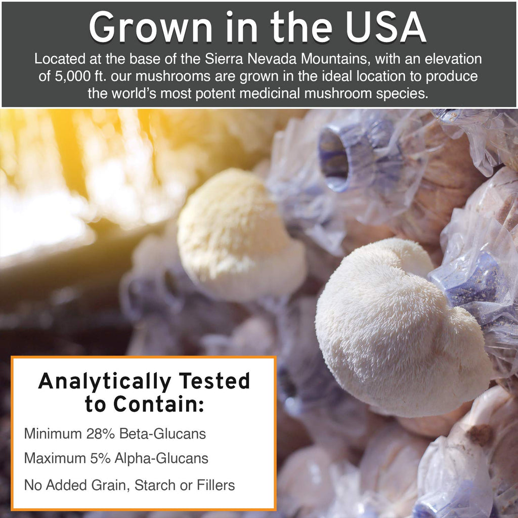 Mushroom powder in coffee for energy