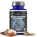 Mushroom Power Complex for energy