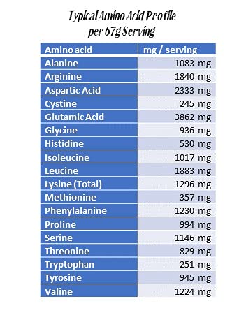 Mushroom protein for active lifestyles