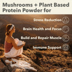 mushroom protein powder for smoothies