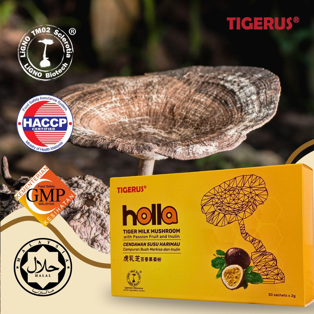 mushroom sachets for convenient wellness
