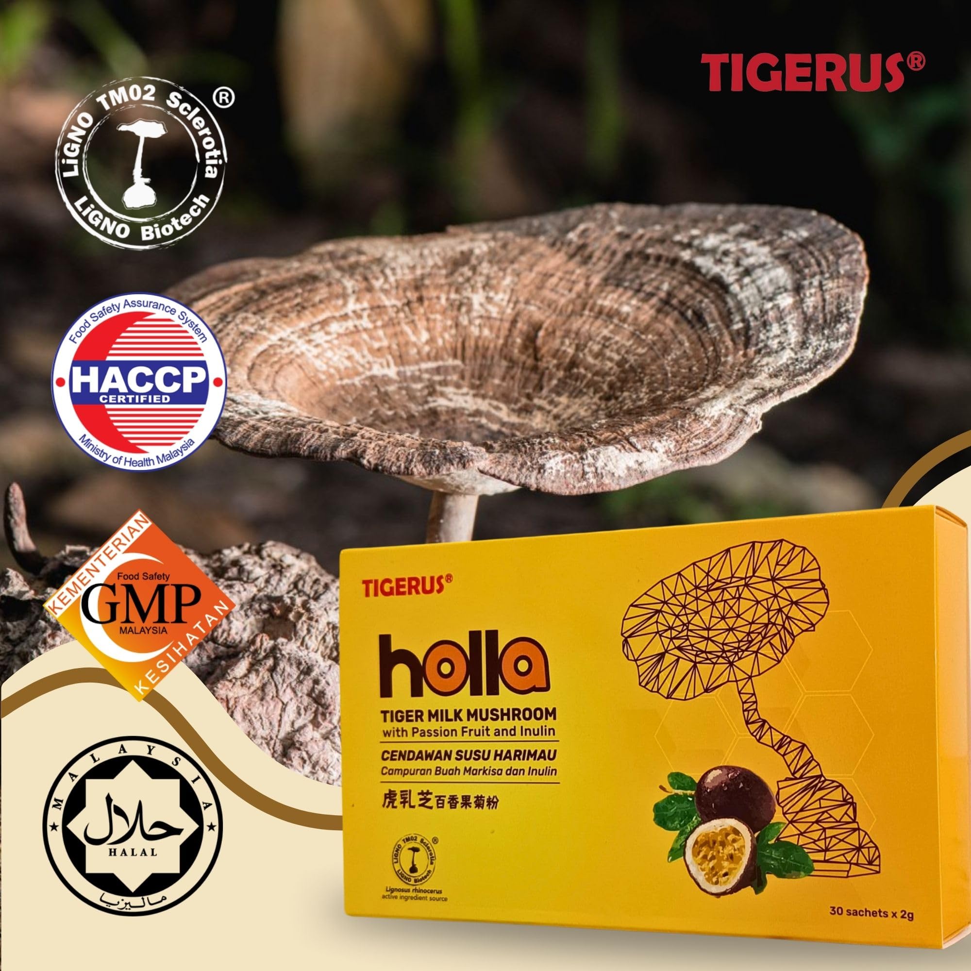 mushroom sachets for convenient wellness