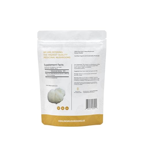mushroom superfood for cognitive function