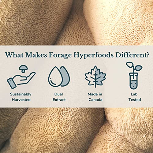 Mushroom superfood for cognitive health