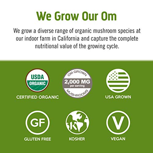 Mushroom superfood for everyday use