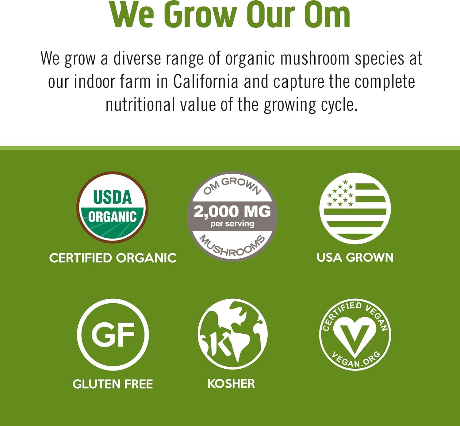 mushroom superfood for holistic health