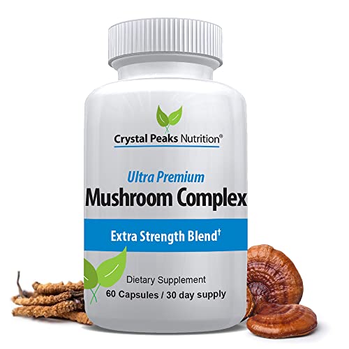 Mushroom superfood health benefits