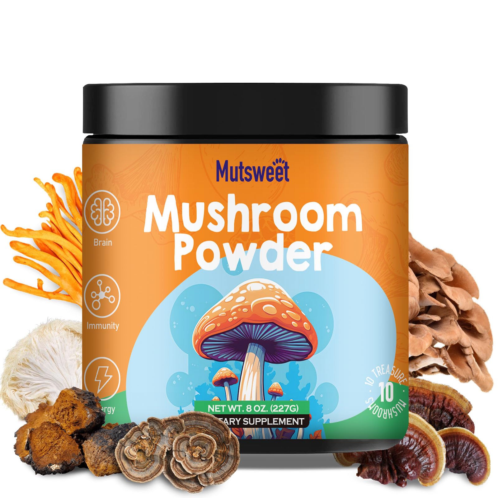 mushroom supplement for active lifestyle