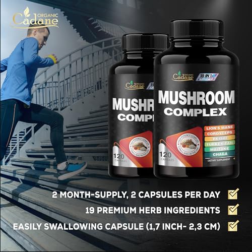 mushroom supplement for active lifestyle