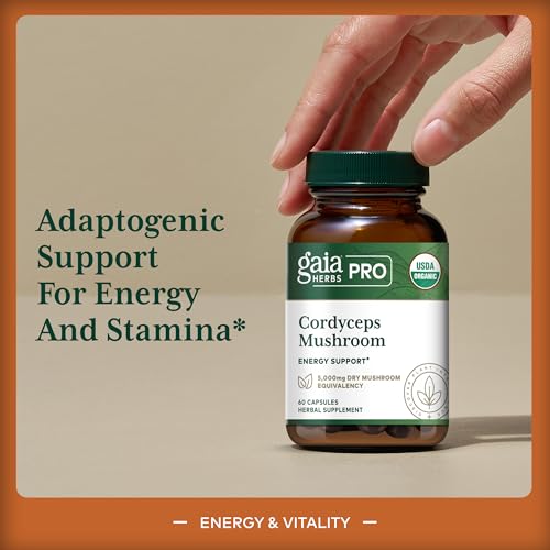 Mushroom supplement for active lifestyle