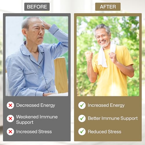 mushroom supplement for active lifestyle