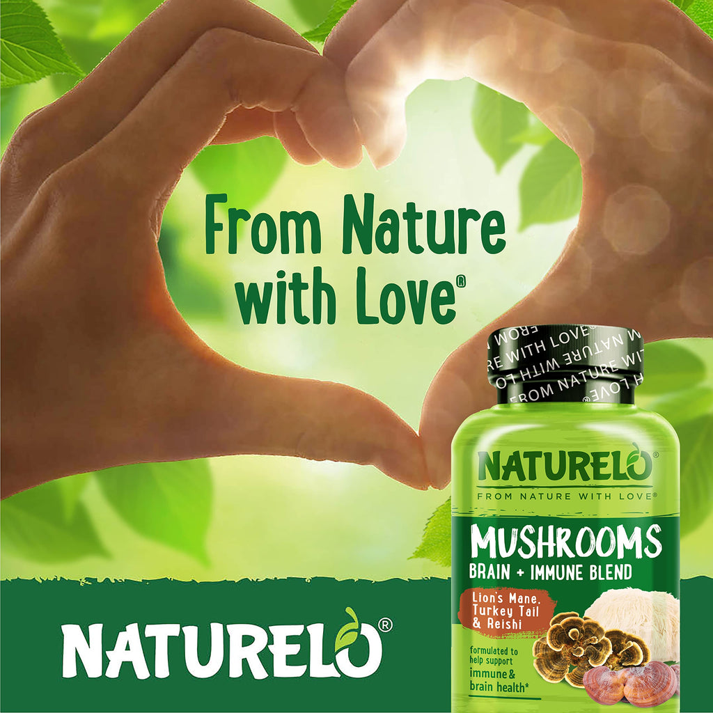 mushroom supplement for better mood