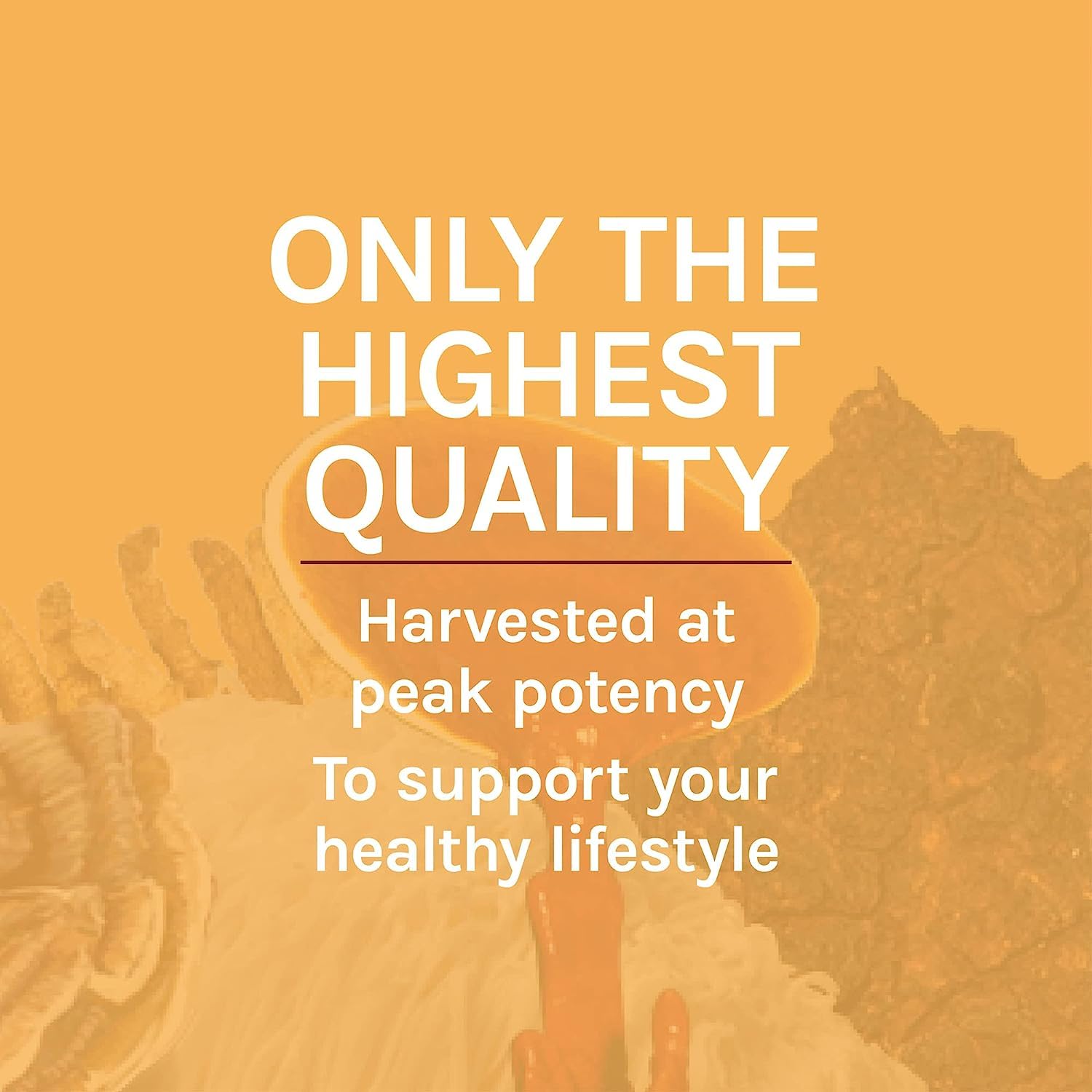 mushroom supplement for better oxygen flow