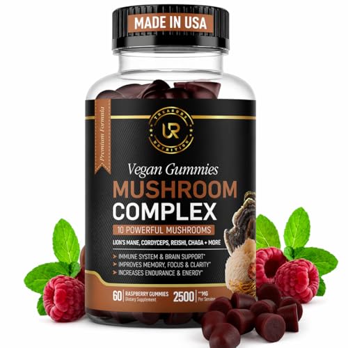 mushroom supplement for brain focus