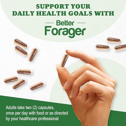 Mushroom supplement for brain health