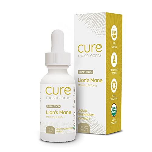 mushroom supplement for brain health