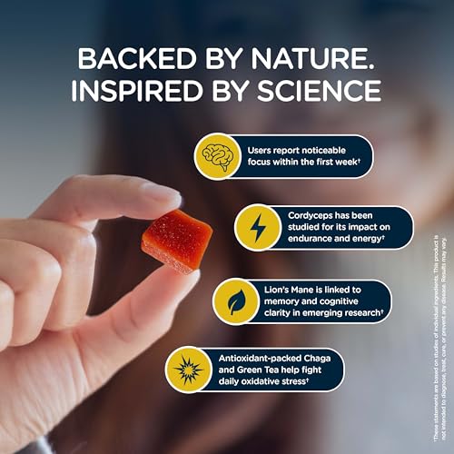 mushroom supplement for busy lifestyles