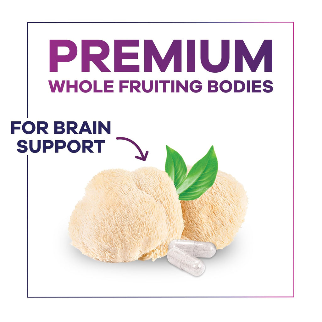 mushroom supplement for cognitive enhancement