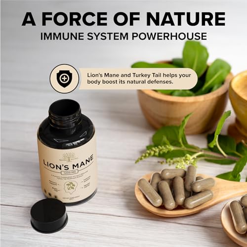 Mushroom supplement for cognitive function