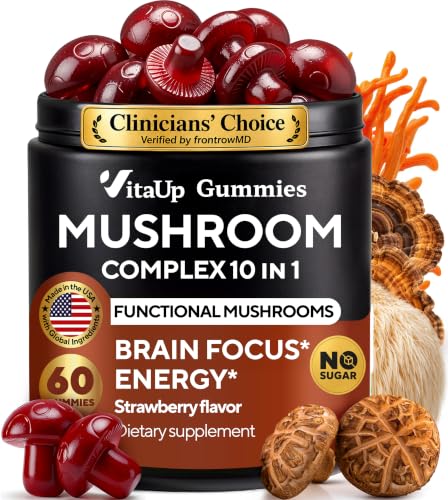 mushroom supplement for cognitive support