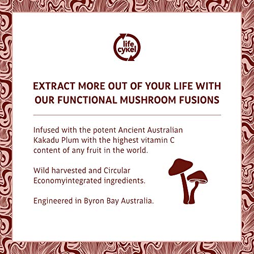 mushroom supplement for daily energy