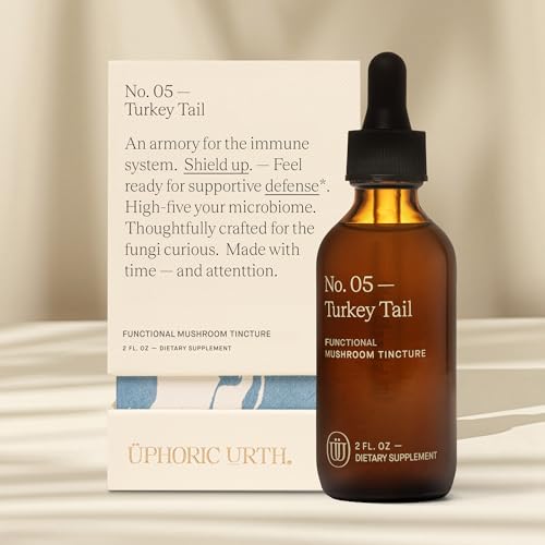 Mushroom supplement for daily energy