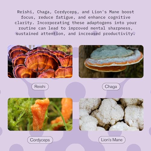mushroom supplement for daily health