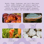 mushroom supplement for daily health