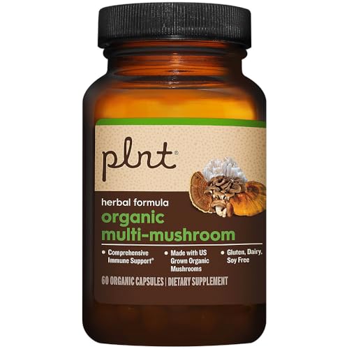 mushroom supplement for daily health