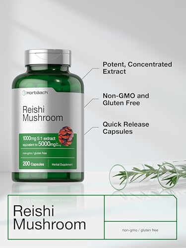 Mushroom supplement for daily health