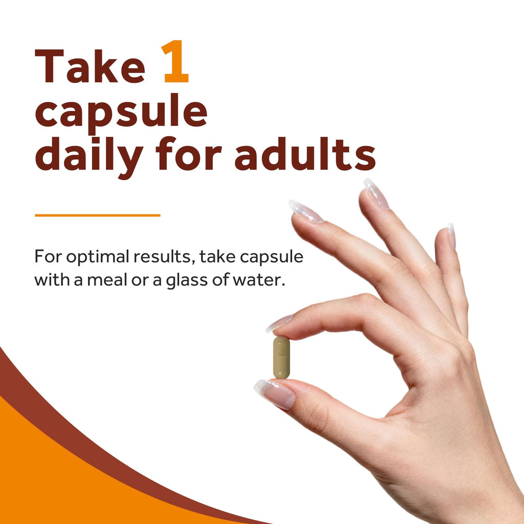 mushroom supplement for daily health