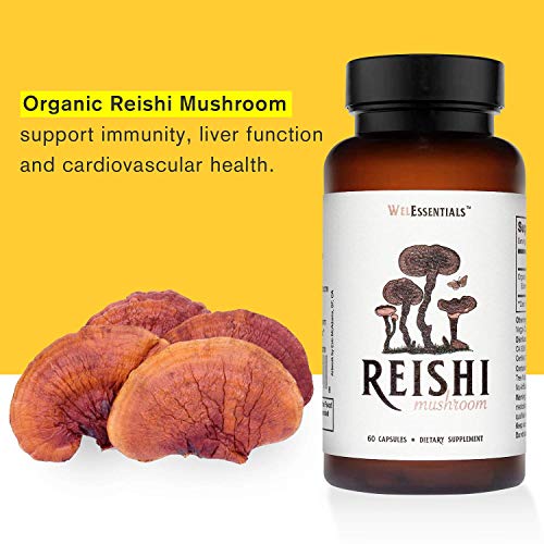 Mushroom supplement for daily nutrition