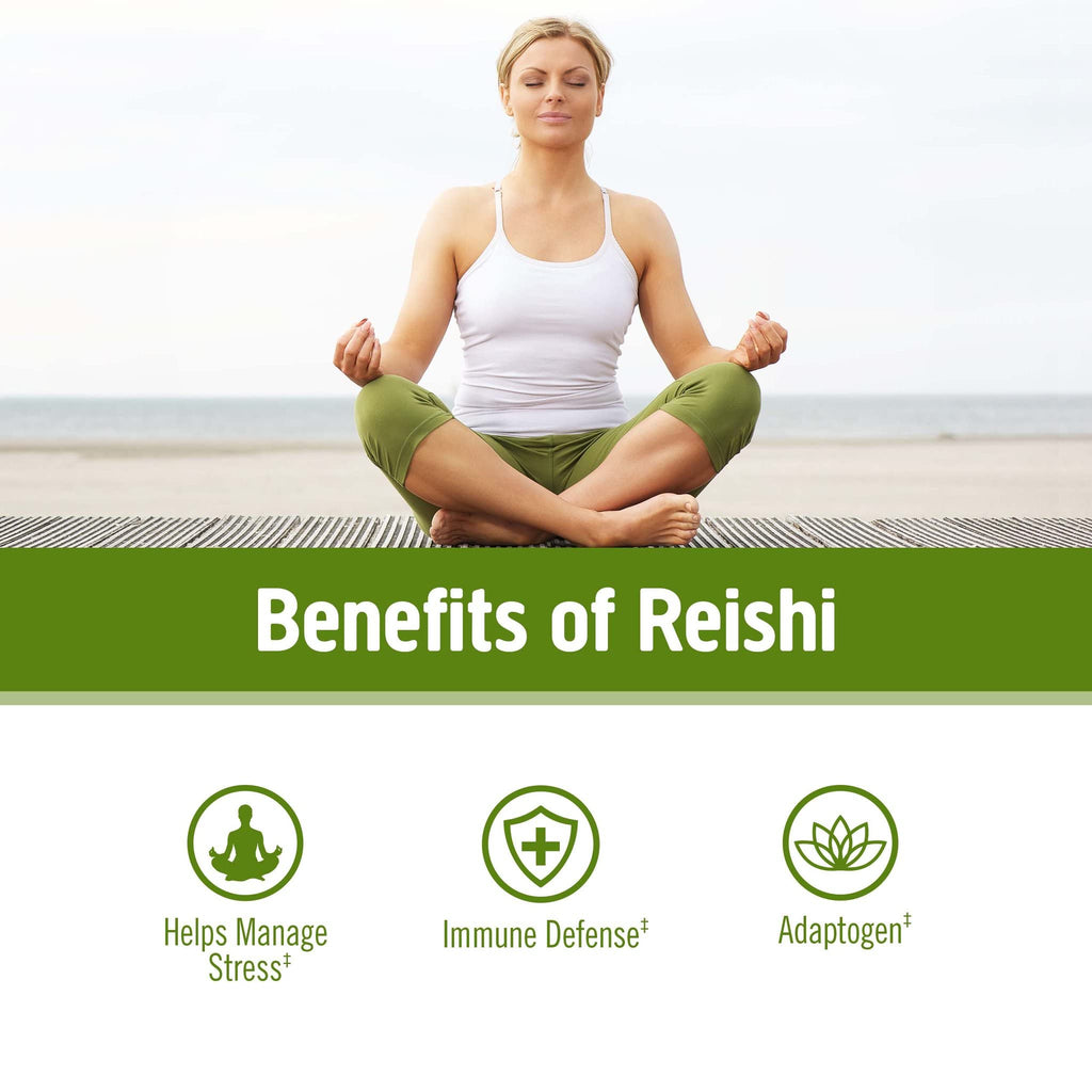 mushroom supplement for daily vitality