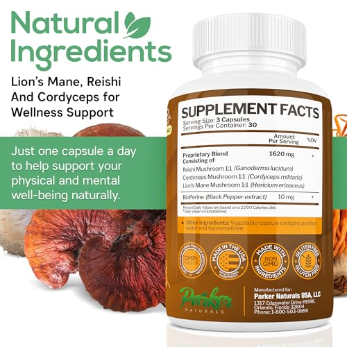 mushroom supplement for daily vitality