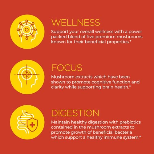 mushroom supplement for daily vitality