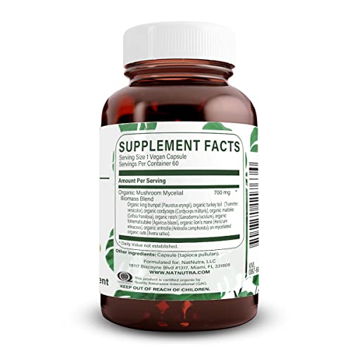 Mushroom supplement for daily wellness