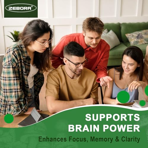 Mushroom supplement for daily wellness