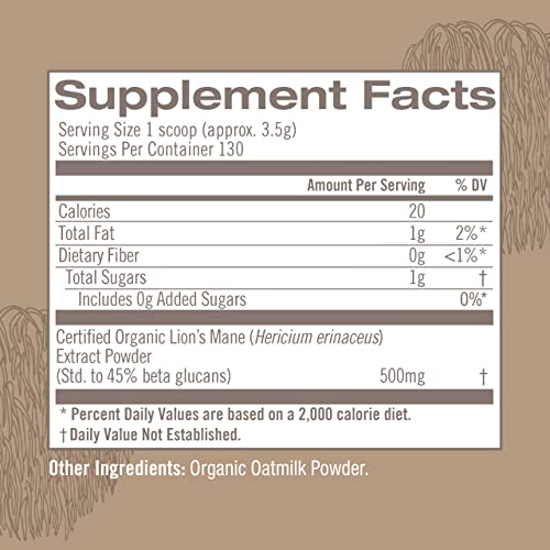 mushroom supplement for daily wellness