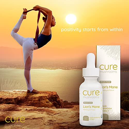 mushroom supplement for daily wellness