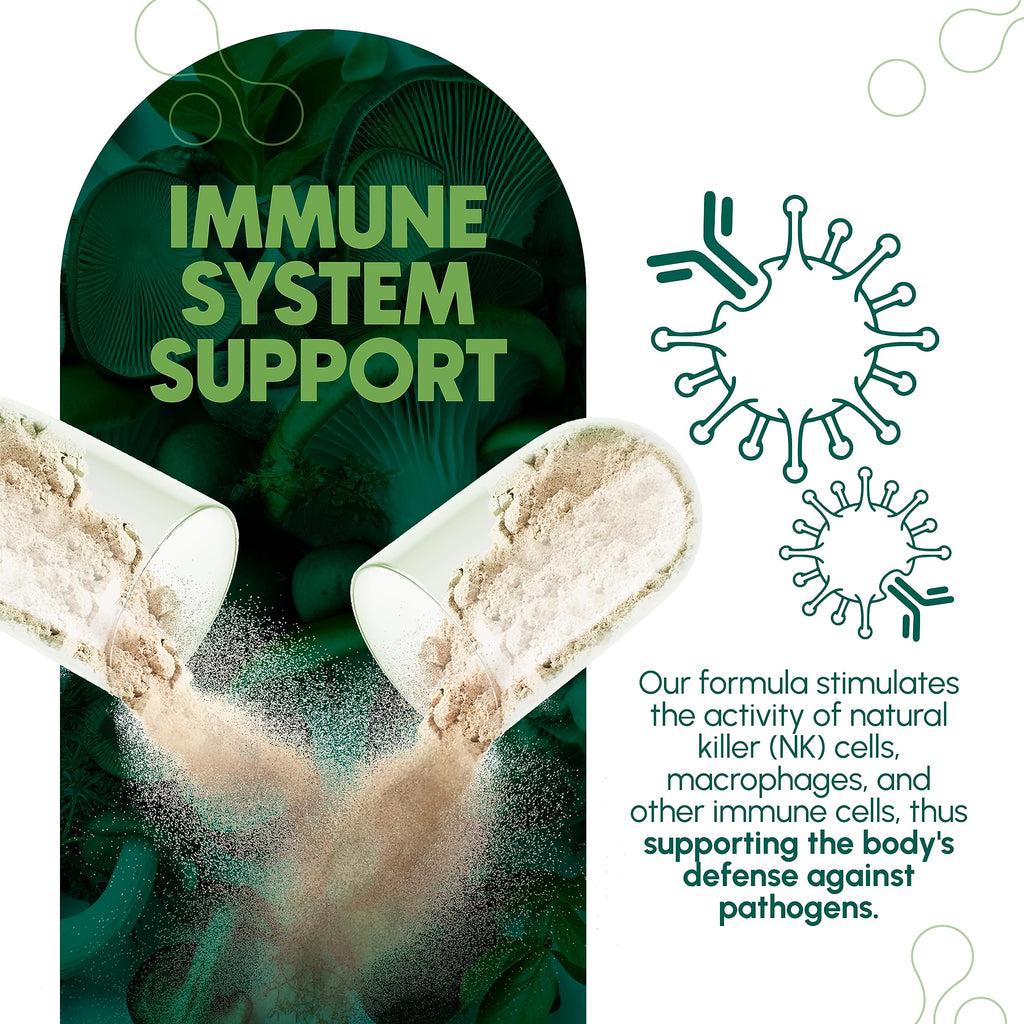 mushroom supplement for daily wellness