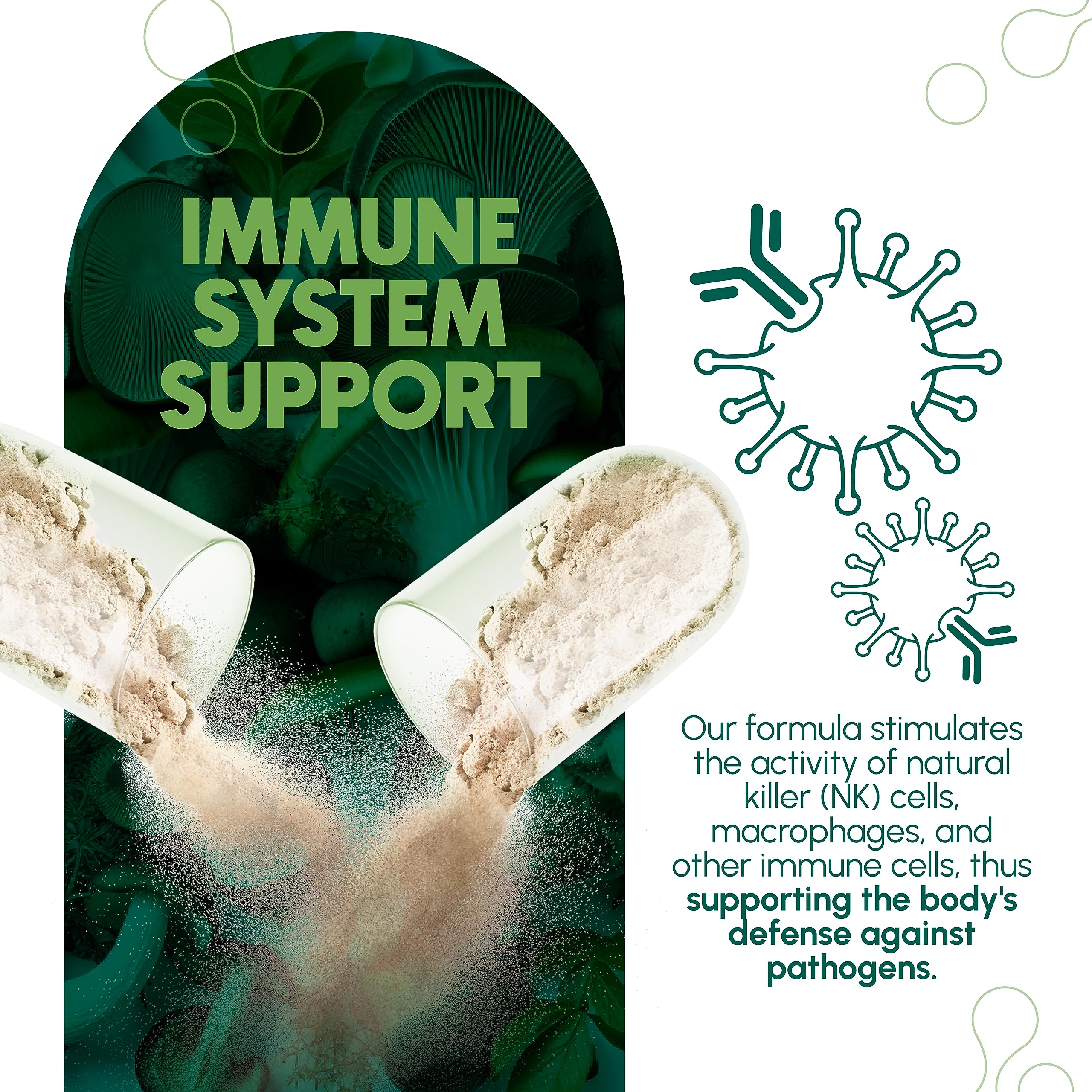 mushroom supplement for daily wellness