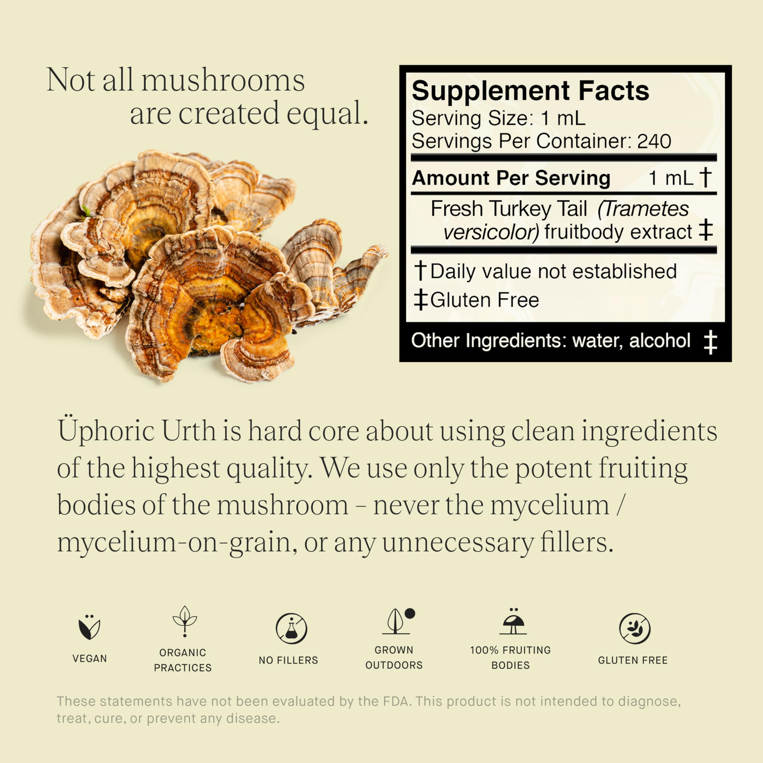 Mushroom supplement for energy boost