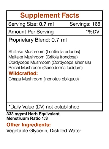 mushroom supplement for energy
