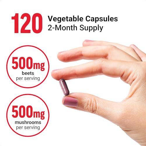 mushroom supplement for energy